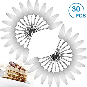 Baderke 30 Pcs Pie Server Stainless Steel Cake Pie Pastry Server Rustic Cake Server Professional Pie Spatula Pie Serving Utensil for Pizza Dessert Cheese Cutting, 9 Inches, Silver