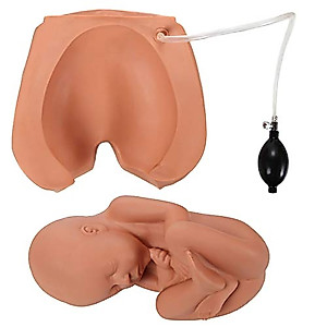 Anatomy Lab Cesarean Section Simulator | C-Section Simulator Permits Abdominal Incisions and Removal of the Baby | Basic and Realistic Obstetric Practice Capabilities | Has baby and 5 Dilation Models