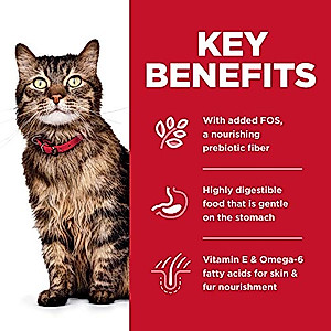 Hill's Science Diet Dry Cat Food, Adult, Sensitive Stomach & Skin, Chicken & Rice Recipe, 15.5 lb. Bag