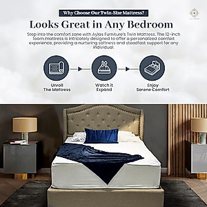 Twin Size Mattress - 10 Inch Cool High Density Comfort Foam Mattress with Breathable Organic Cotton Cover - Medium Firm - Rolled in a Box - Oliver & Smith