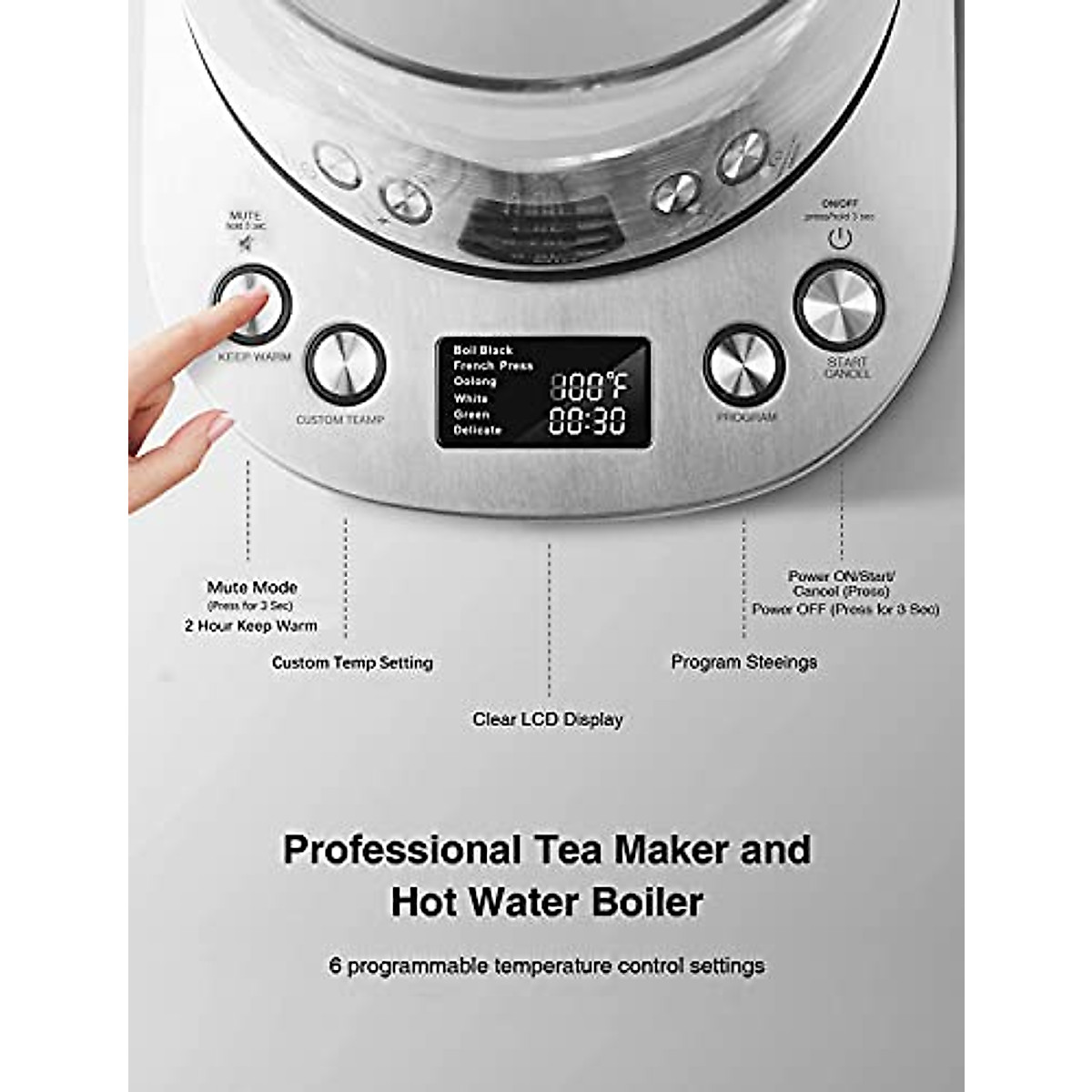 Electric Tea Kettle, 1.7L Variable Temperature Electric Kettle, Fast Boil Glass Water Kettle with 2Hr Keep Warm Function, Premium Stainless Steel, Boil Dry Protection, 1200W