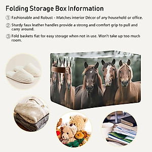 STAYTOP Large Storage Basket Collapsible Toy Storage Bins Waterproof Laundry Basket with Handle.Used for Home Closets, Offices, Bedrooms, Kids Toy and Gift Baskets-Cute Horses（Rectangular）1PCS