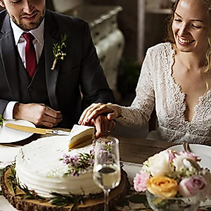 Homi Styles Wedding Cake Knife and Server Set | Plastic Faux Crystal Handles & 420 Stainless Steel Titanium gold plated Blades | Cake Cutting Set for Wedding Cake, Birthdays, Anniversaries, Parties