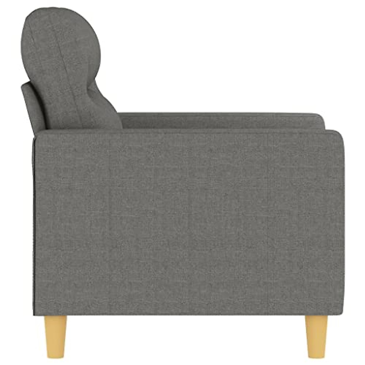WHOPBXGAD Sofa Chair,Living Room Sofas, upholstered Sofas for Living Rooms, bedrooms, Offices and Apartments,Dark Gray 23.6" Fabric