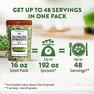 Alfalfa Sprout Seeds for Sprouting and Microgreens (16oz) Premium USA Alfalfa Seeds Indoor or Outdoor Planting Sprouts | Non-GMO | Micro Greens Seed in Resealable Bag