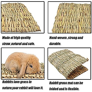 Tfwadmx Rabbit Grass Mats,16.5''x11''Large Natural Woven Seagrass Mat Bunny Bed Chew Mat Sleep for Chinchillas Guinea Pigs Ferret Hamster Squirrel and Small Animals -6 Pcs