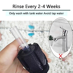 AQUANEAT Aquarium Bio Sponge Filter Breeding Fry Betta Shrimp Nano Fish Tank (Small up to 10Gal)