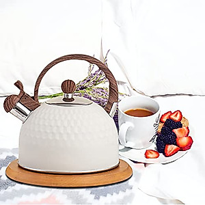 Tea Kettle Stovetop,Stainless Steel Whistling Kettles Teapot With Anti-Hot Handle, Hot Water Boiling Tea Pots For Stove Top,2.5 Liter/Beige Color