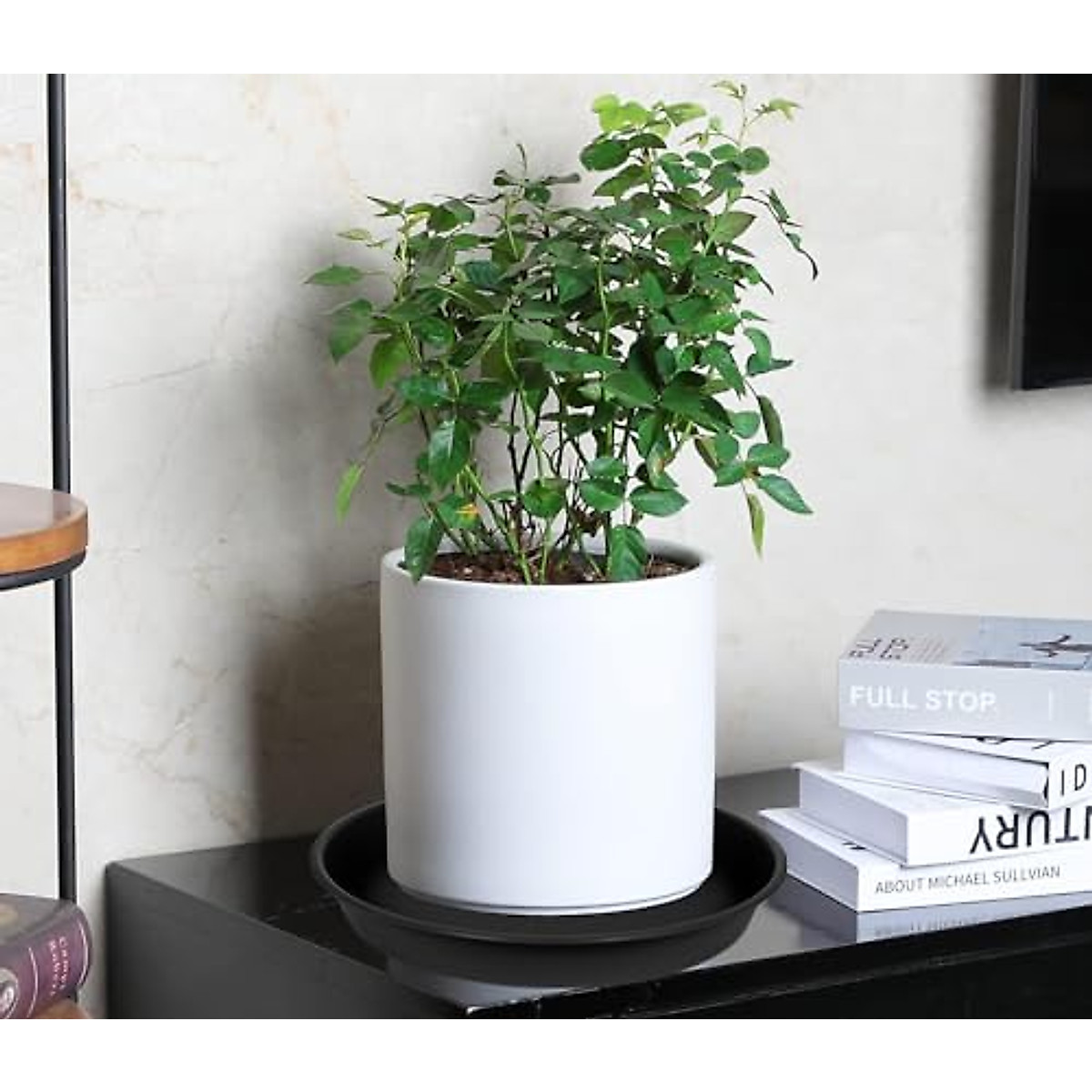 Angde 6 Pack of Plant Saucer 4 5 6 8 10 12 14 16 18 20 Inch Round, Plant Drip Trays for Pots, Plant Drip Tray, Flower Plant Pot Saucers, Pot Saucer 4", Plant Saucers for Indoors (5", Black)