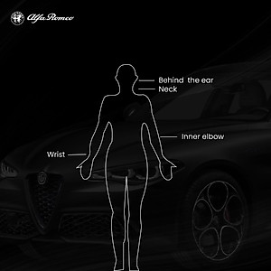 Alfa Romeo Alfa Romeo Black Men EDT Spray 4.2 oz