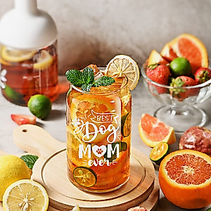 HAYOOU Dog Mom Gifts, Dog Lover Gifts for Women, Mothers Day Gifts,Christmas, Birthday Gifts for Dog Lovers Female Women, Premium Laser Etched Engraved16 Ounces Jar Drinking Glasses Cups