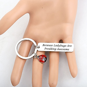 HOLLP Ladybug Jewelry Lady Beetle Gift Because Ladybugs Are Freaking Awesome Keychain for Gardener (Because Ladybugs)