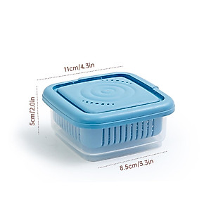 Food Storage Containers with Lids Fridge Berry Storage Container with Lid/Strainer Fresh Produce Saver Keeper for Scallion Ginger Garlic Vegetable Fruit Meat Lettuce