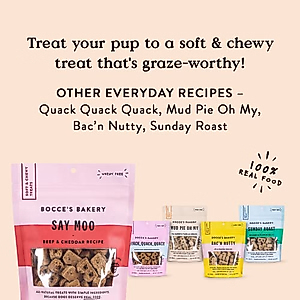 Bocce's Bakery Oven Baked Say Moo Treats for Dogs, Wheat-Free Everyday Dog Treats, Made with Real Ingredients, Baked in The USA, All-Natural Soft & Chewy Cookies, Beef & Cheddar Recipe, 6 oz