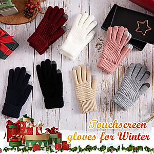 Trifabricy Womens Winter Gloves - Warm Soft Touchscreen Winter Gloves for Women, Elastic Cuff Knit Texting Gloves for Cold Weather, 2 Pairs