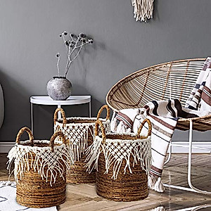 Boho Romantic Lace Baskets, Set of 3, Knotted Fringe Cotton Macrame Details, Relaxed Coastal Style, Woven Chunky Banana Leaf, Thick Handles, 21.75, 19.75, and 1