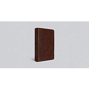 ESV Large Print Personal Size Bible (TruTone, Chestnut)
