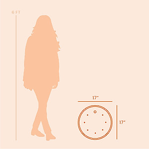 Bloem, T6327, Ups-A-Daisy Round Planter Insert, Planters, 17", Orange