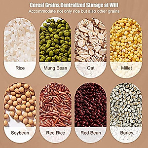 XGZ 6-Grid Grain Dispenser Rotating Kitchen Storage Containers Cereal Storage Containers Rice Dispenser Food Storage Containers Airtight Containers,27X32cm/10.6X12.6in