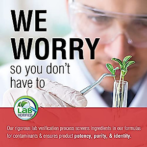 SOLARAY Timed Release Vitamin C 1000mg & Monolaurin 500mg Bundle | Powerful Immune & Gut Health Support | 275ct, 60ct