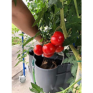 DWC Hydropoinc System Kit (4)