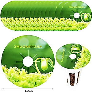 ZHUOMINGJIA 240 Pcs Seed Pot Labels PVC Stickers for Mark Plants and Understand Plant Growth,The Minimum Size of The Hole is 9mm for Aerogarden Seed Pods Garden Plant Grow Basket Vegetables,Green