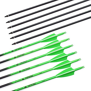 Carbon Arrows 28 Inch Targeting Practice Hunting Arrow Fluorescence Color for Compound Bow and Recurve Bow with 100 Grain Removable Tips (Pack of 12)