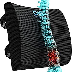 Everlasting Comfort Lumbar Support Pillow for Office Chair Back - Improve Posture While Sitting - Memory Foam Cushion Design for Computer Desk, Car, Gaming, Couch, Recliner