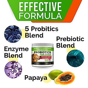 No Poo Treats + Dog Probiotics for Picky Eaters Bundle - No Poop Eating for Dogs + Chewable Fiber Supplement - Digestive Enzymes + Prebiotics - Coprophagia Stool Eating Deterrent + Improve Immunity