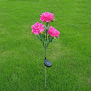 MELDVDIB Outdoor Solar Flower Lights, Waterproof Decorative Garden Stake LED Lights, Multi-Color Changing Garden Decorative Stake Lights for Garden, Patio, Yard, Walkway (A - Hot Pink)
