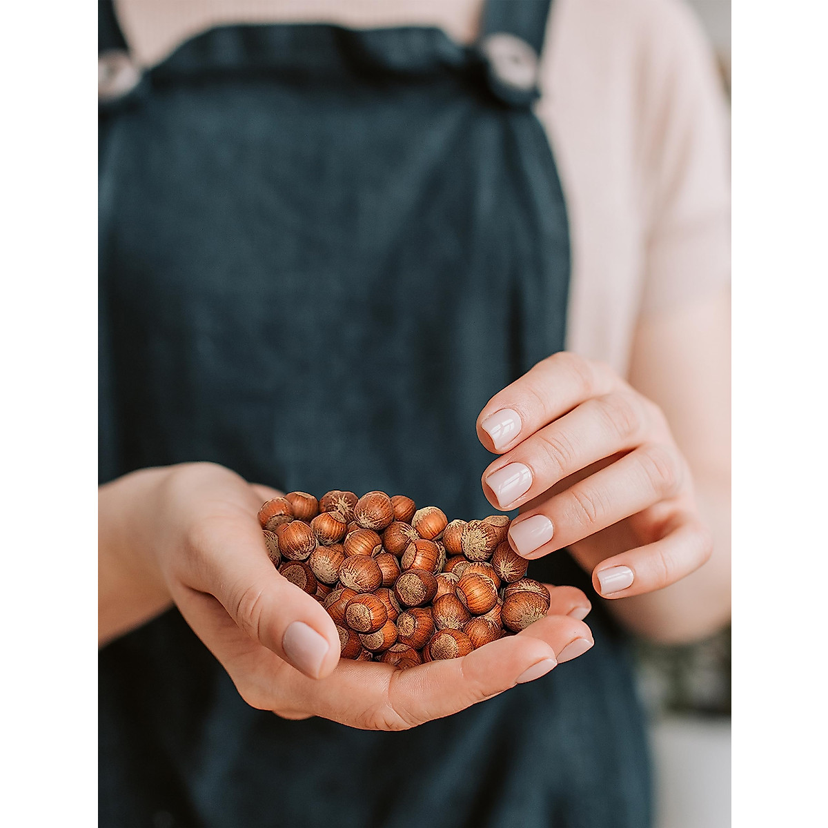 Anna and Sarah Large Oregon Hazelnuts in Shell, 5 Lbs