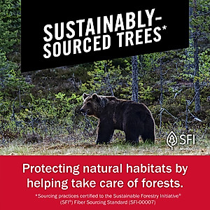 Brawny® Tear-A-Square® Paper Towels, 6 Double Rolls = 12 Regular Rolls