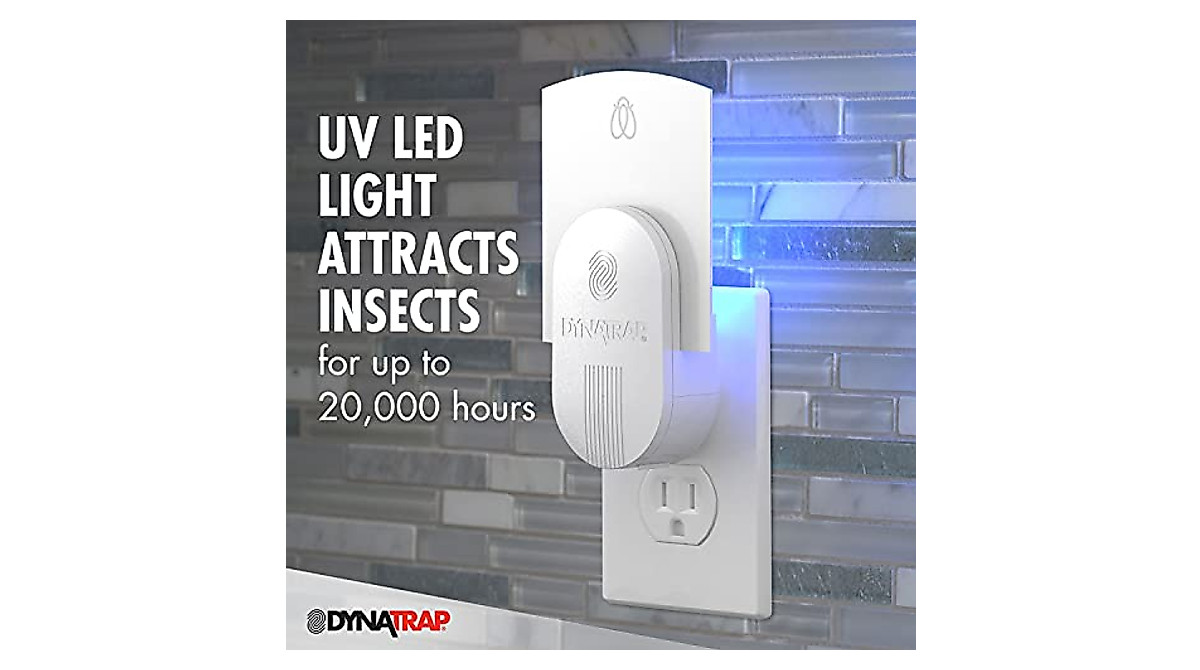 DynaTrap DT3005W-DS3: Discreet Insect Trap 3-Pack