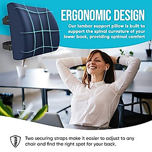 FORTEM Chair Cushion, Seat Cushion for Office Chair, Lumbar Support Pillow for Chair, Car Seat Cushion, Back Support Memory Foam Pillow Washable Cover (Blue, Mesh)