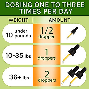 Milk Thistle for Dogs and Cats - Liver Support Supplement - Canine Hepatic Care - Cat & Dog Liver Cleanse - Liquid Milk Thistle Drops for Pets - Liver Protection & Defence - Made in USA - 2 fl oz