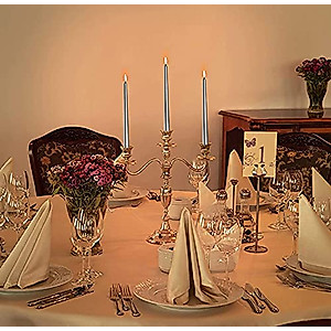 Hyoola Tall Taper Candles - 10 Inch - Metallic Titan - Dripless - 12 Pack - 8 Hour Burn Time