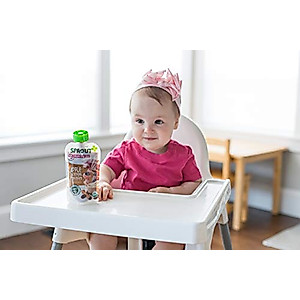 Sprout Organic Stage 2 Baby Food Pouches, Apple Oatmeal Raisin with Cinnamon, 3.5 Ounce (Pack of 6)