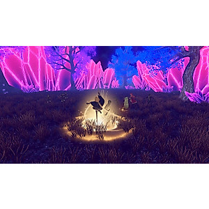 Eternal Radiance - Nintendo Switch