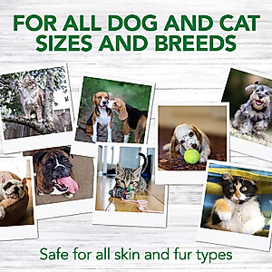 Vet's Best Flea Comb | Real Bamboo with Contour Grip Handle | for Dogs and Cats