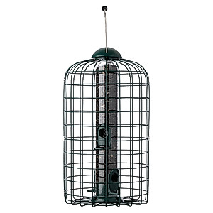 More Birds Squirrel-X Bird Feeder, Cage Tube Feeder Keeps Squirrels Out, 4 Feeding Ports, 1.5 lb Seed Capacity