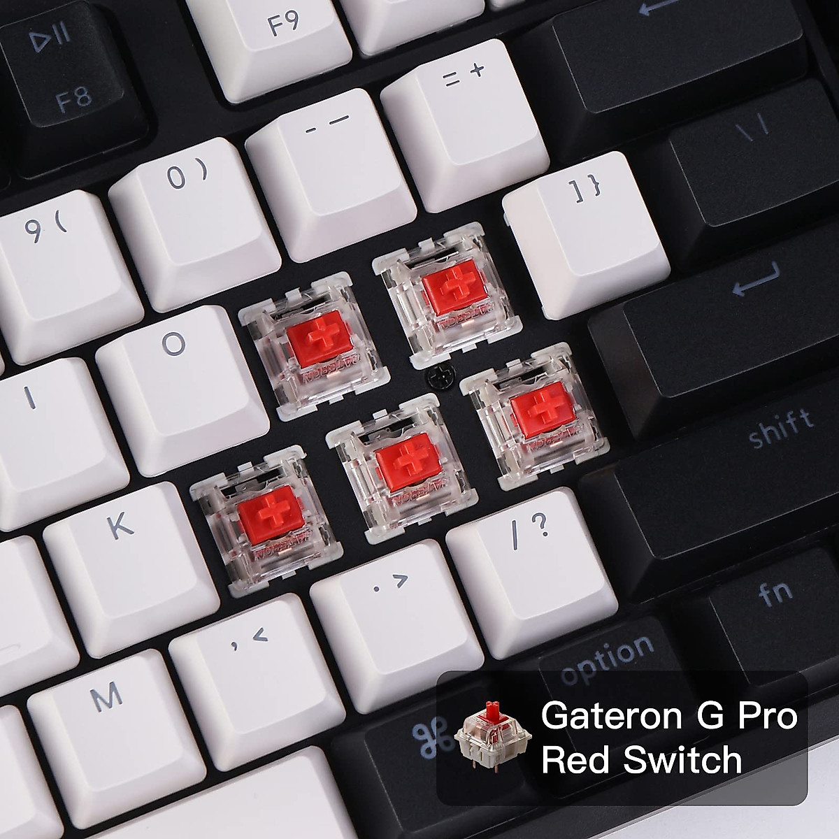 Keychron C1 Mac Layout Wired Mechanical Keyboard, Gateron G Pro Red Switch, Tenkeyless 87 Keys ABS keycaps Computer Keyboard for Windows PC Laptop, RGB Backlight, USB-C Type-C Cable