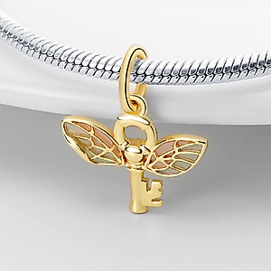 HappyStar 925 Sterling Silver Charms for Pandora Charms Bracelets and Necklaces Beads Charms Jewelry Mother's Day Gift for Women （With one Spacer Bead Charms