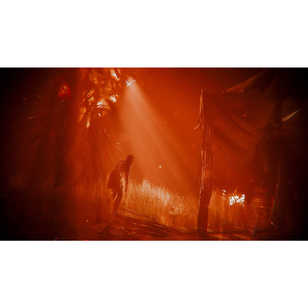 Maid Of Sker Nintendo Switch