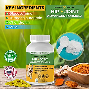 Advanced Hip and Joint Supplement for Dogs Large Breed - Glucosamine for Dogs Mobility & Pain Relief - Chondroitin, MSM & Turmeric | Bundle Pack(Chewable Tablets + Powder)