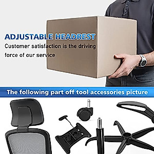 Ergonomic Office Chair, Home Office Desk Chair with Adjustable Headrest & Lumbar Support. High Back Mesh Computer Chair with Thickened Cushion &Flip-up Armrests, Task Executive Chair (Graphite)