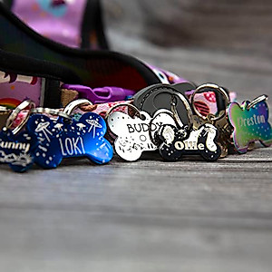 Personalized Dog Tag with 5 Lines of Custom Deep Engraved Durable Stainless Steel Pet ID Name Tag Designer Regular Size Bone