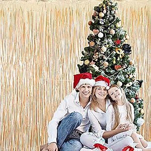 LILF 2 Pack of 3.3ft x 8.3ft Matte Metallic Foil Fringe Curtain for Birthday Party Wedding Bridal Baby Shower Photo Booth Backdrop Christmas Home Decoration Props (Matte Gold)