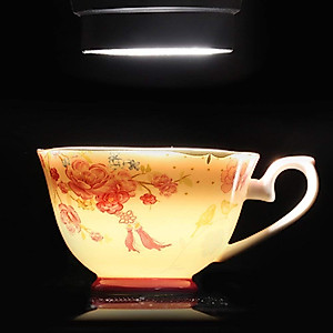 AWHOME Bone China Teacup and Saucer Sets Vintage Royal Style Tea Cup Red Flower Set 7-OZ