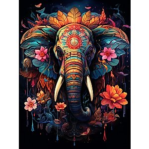 SKRYUIE Paint by Numbers Elephant for Adults, Acrylic Oil Painting by Numbers Kits for Beginner with Paintbrushes Brushes Paintwork Art Canvas for Home Decor 16x20 inch / 40x50 cm B1467