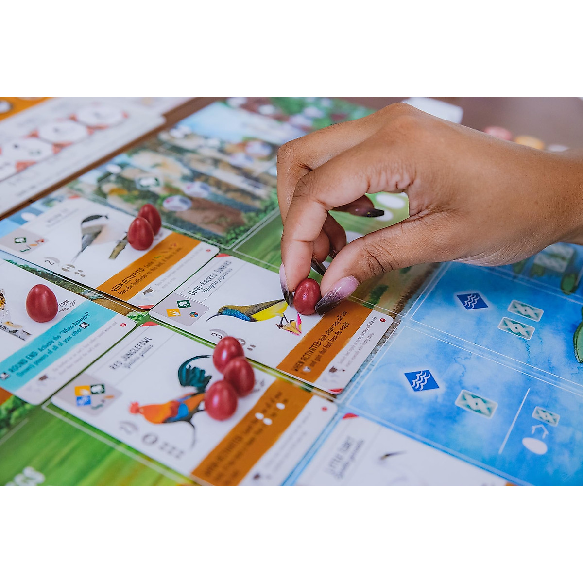 Stonemaier Games: Wingspan Asia | Standalone Game or Expansion to Wingspan (Base Game) | Great for Solo Play or 2 Player | Add to Wingspan for 6-7 Player Expansion | 1-5 Players, 70 Mins, Ages 14+